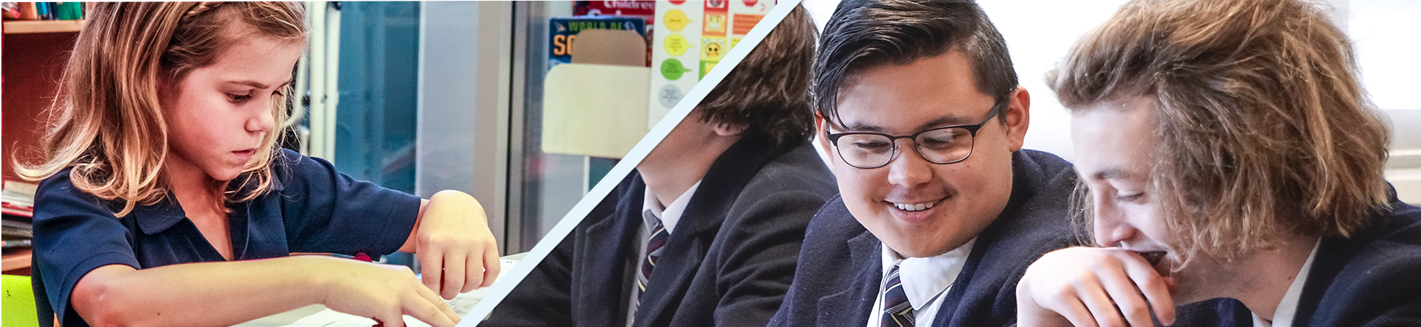 National Literacy and Numeracy Learning Progressions | The Australian ...